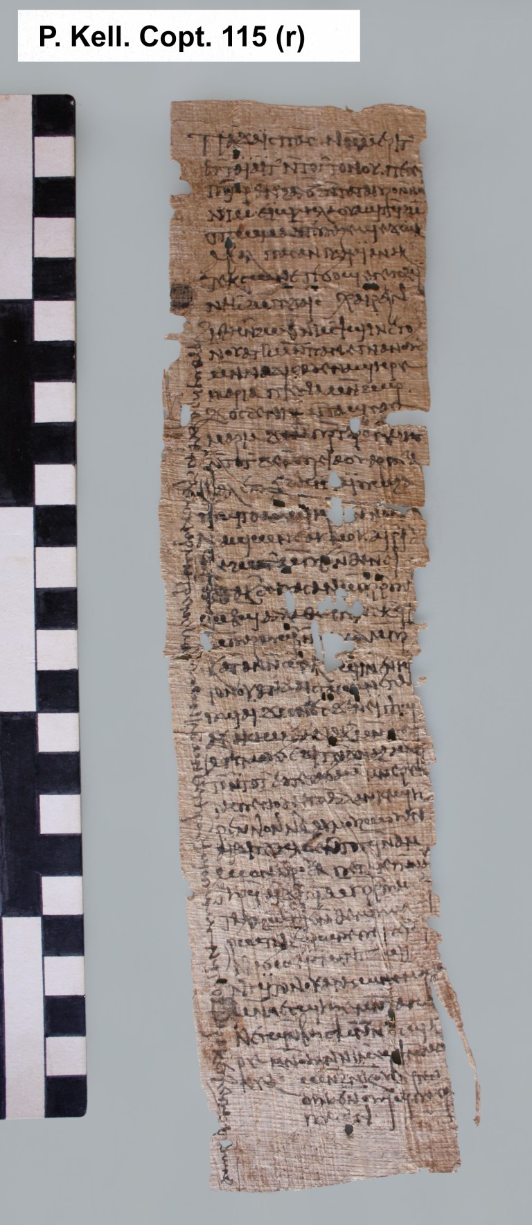 Death in the Desert – Papyrus Stories