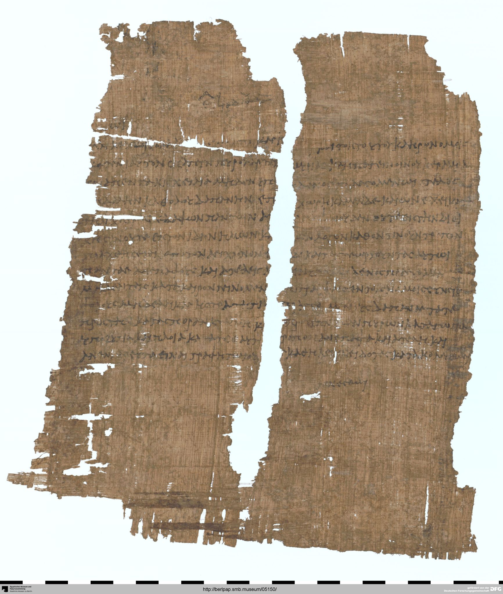 On A Document Signed by Cleopatra – Papyrus Stories